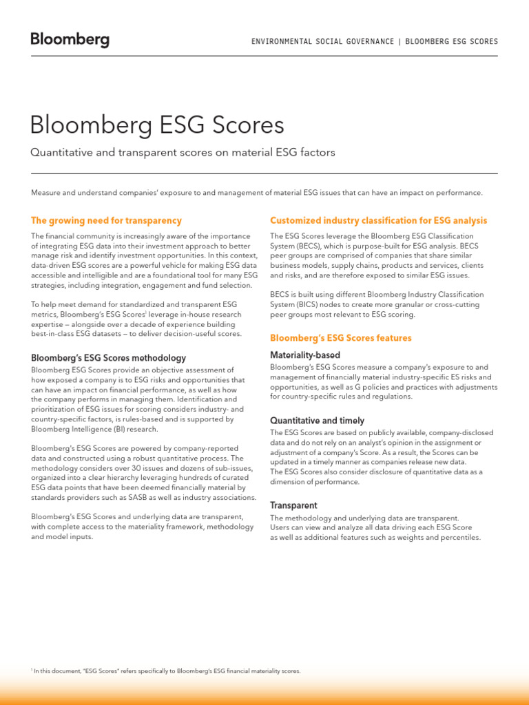 Day 4 ESG Score Factsheet - BBG | PDF | Bloomberg L.P. | Business