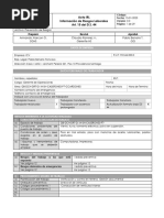 FORMATO IRL (Ex ODI) | PDF