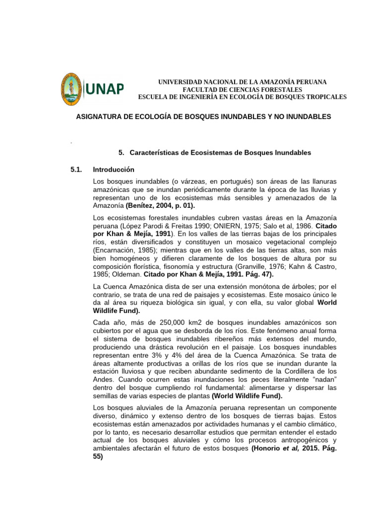 Capítulo 5 de Ebini 2025 | PDF | Selva | Los bosques