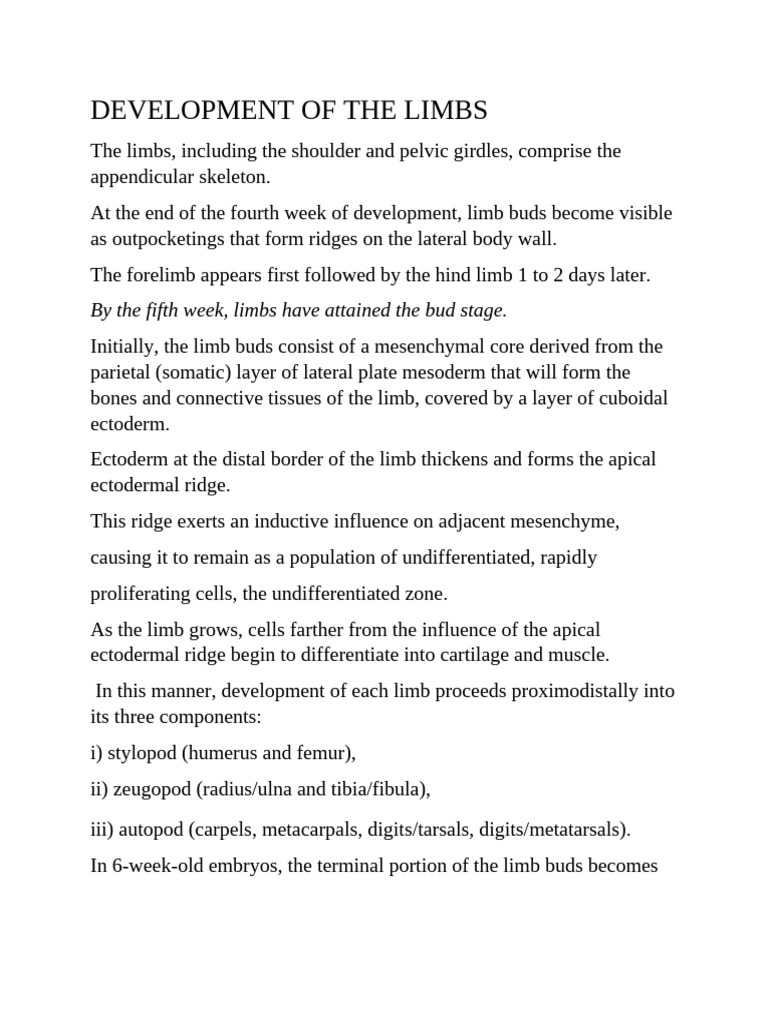 Development of The Limbs | PDF | Knee | Bone