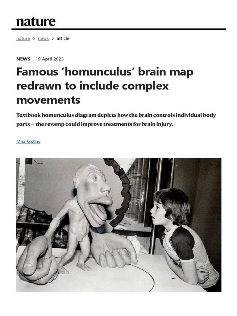 Famous Homunculus' Brain Map Redrawn To Include Complex Movements | PDF ...