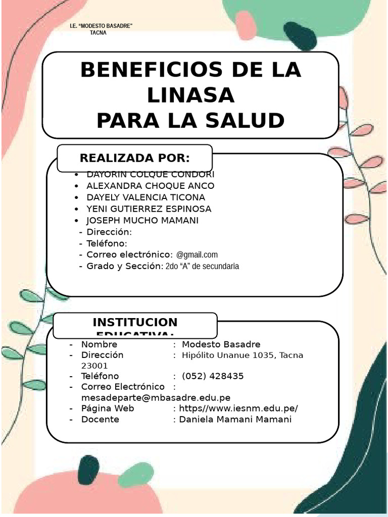 Proyecto - Beneficios de La Linasa Modesto Basadre | PDF | Obesidad ...