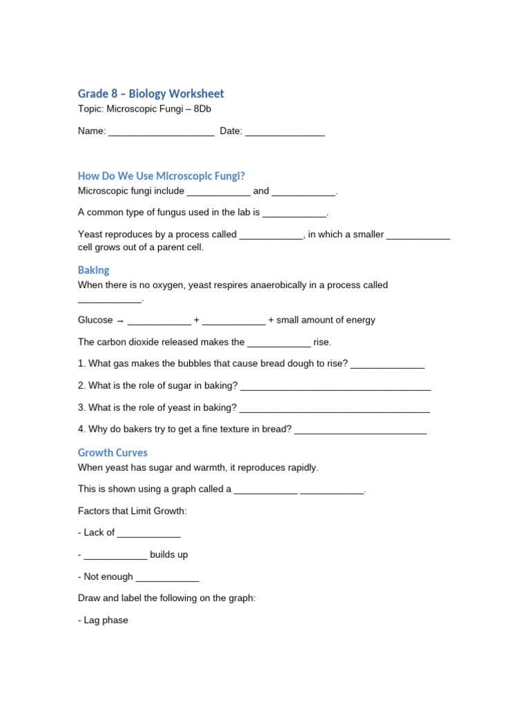 Microscopic Fungi Worksheet | PDF