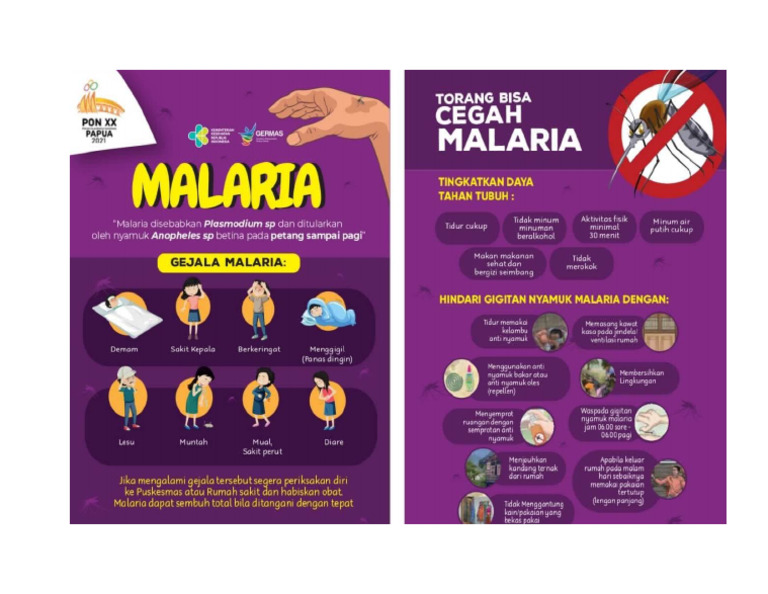 Laeflet Malaria | PDF