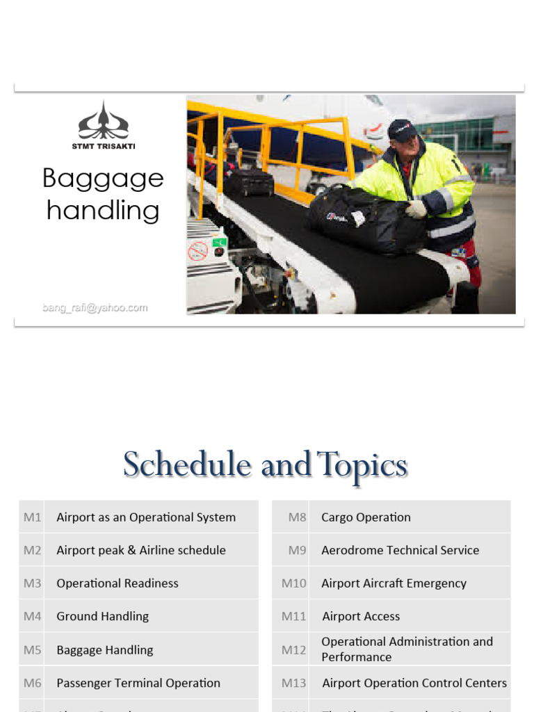 Baggage Handling System Overview | PDF