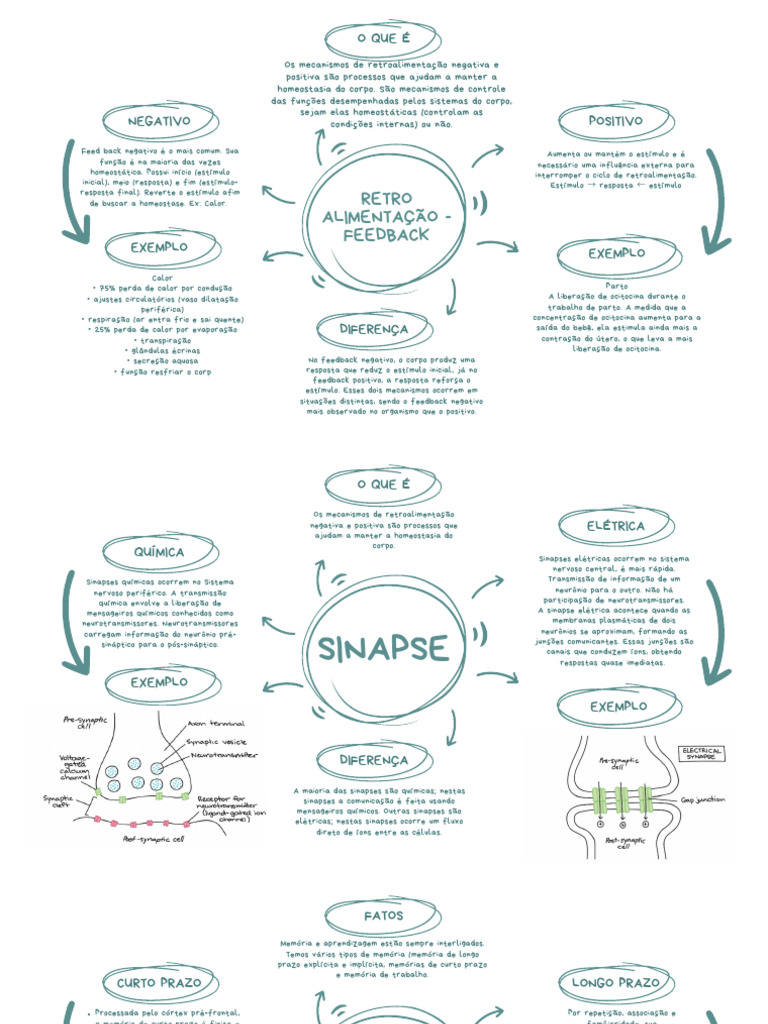 White and Green Childish Mind Map Brainstorm | PDF | Sinapse | Memória