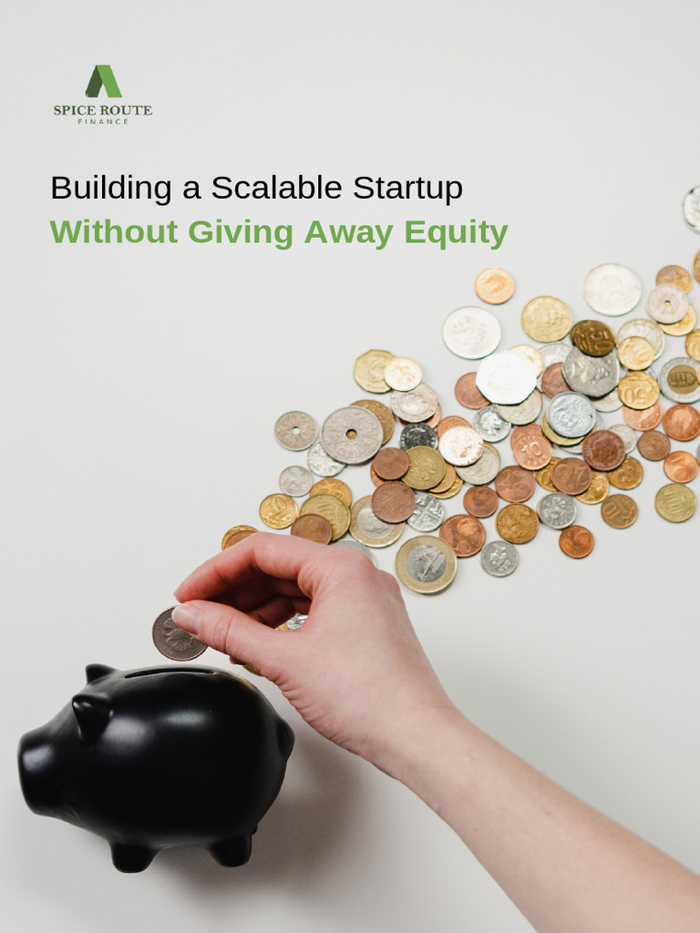 Alternative Sources of Funding | PDF | Startup Company | Small Business ...
