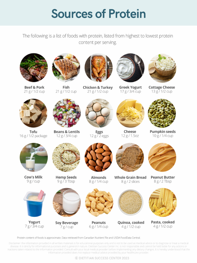 Food Sources of Protein 1 | PDF