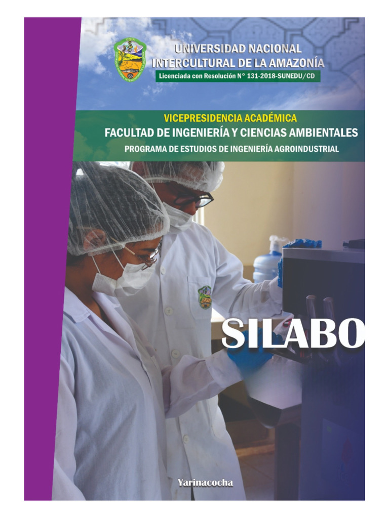 Sílabo - Fundamentos de Ingeniería de Materiales - T - 1 | PDF | Ciencia de los Materiales ...