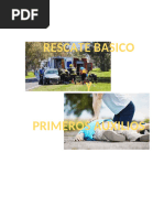 Músculos de La Espalda | PDF | La columna vertebral | Vértebra