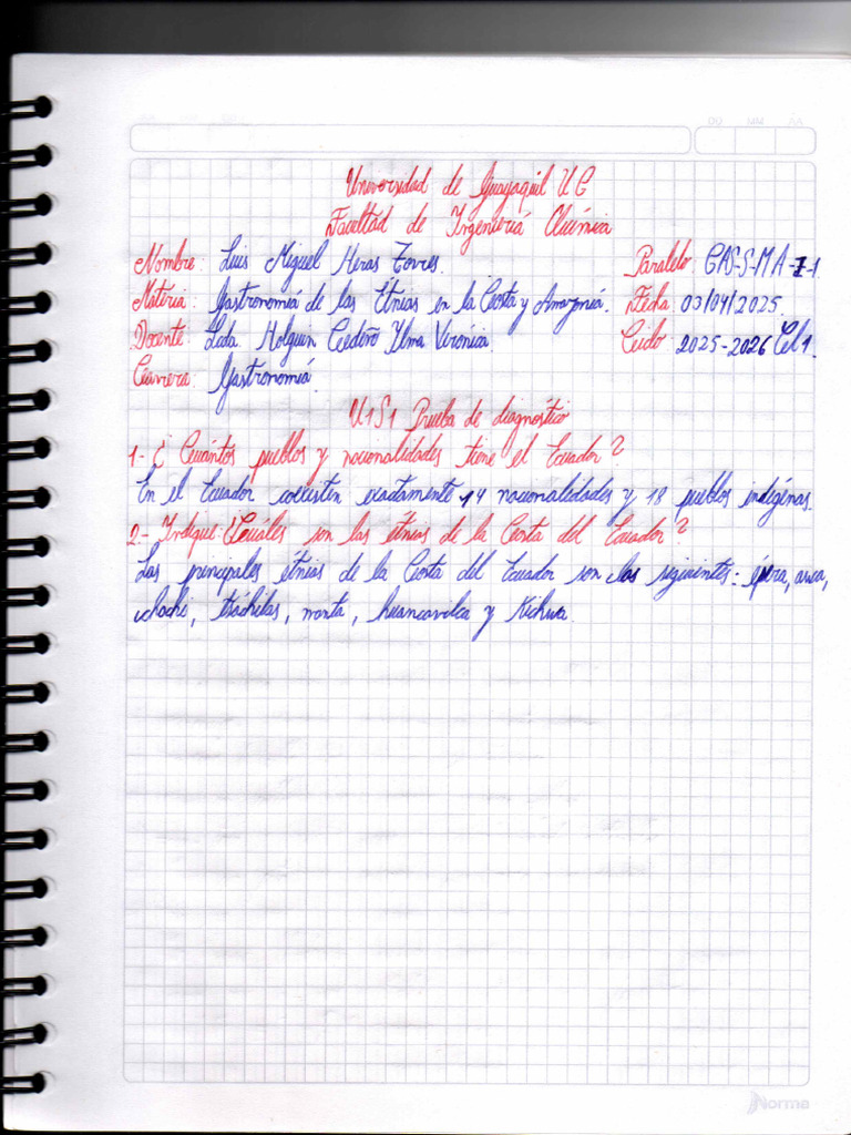 U1S1-Prueba de Diagnóstico-3 de abril del 2025-Heras Torres Luis Miguel | PDF