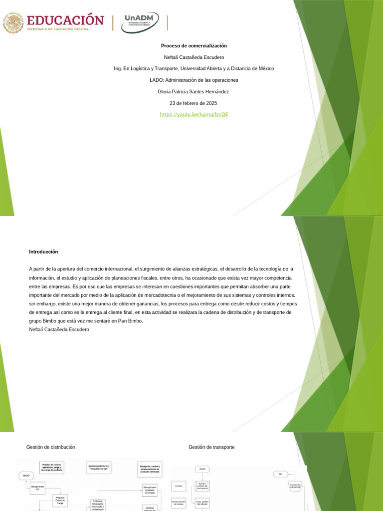 Lado U2 Ea Nece | PDF | Logística | Business