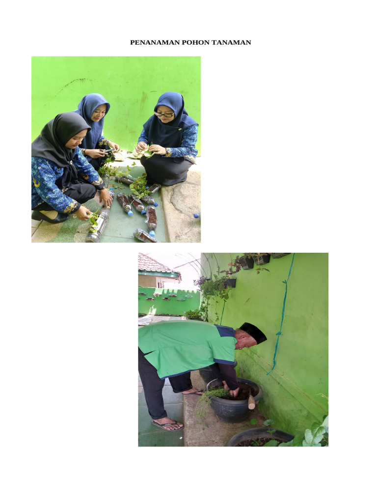 Penanaman Pemeliharaan Pohon Tanaman | PDF