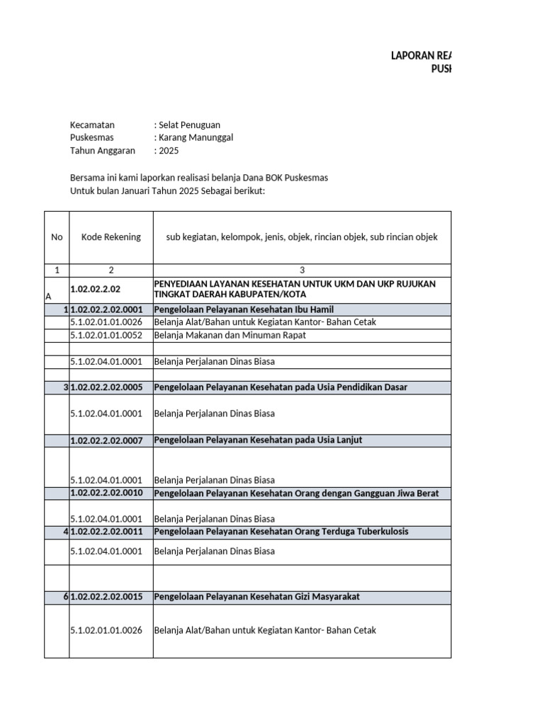 30. Format Laporan Realisasi 2025 Karang Manunggal | PDF