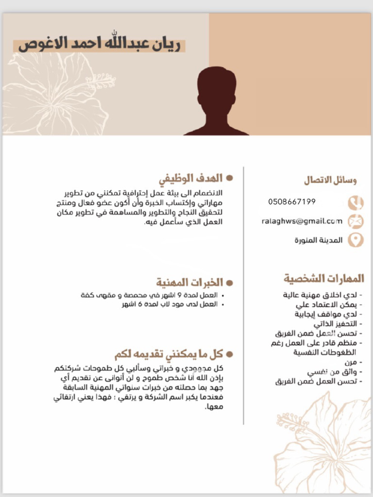 Interactive CV | PDF