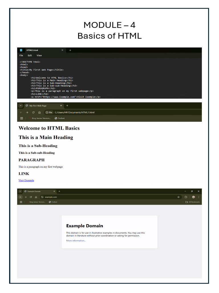 Basics of HTML | PDF