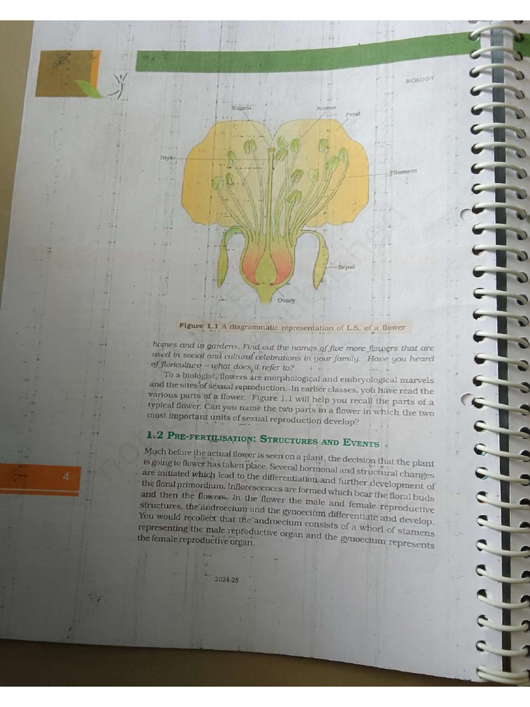 Botany - 6 | PDF