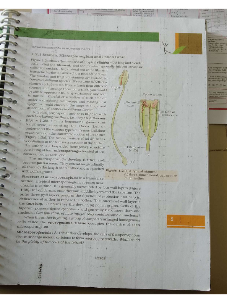Botany - 7 | PDF