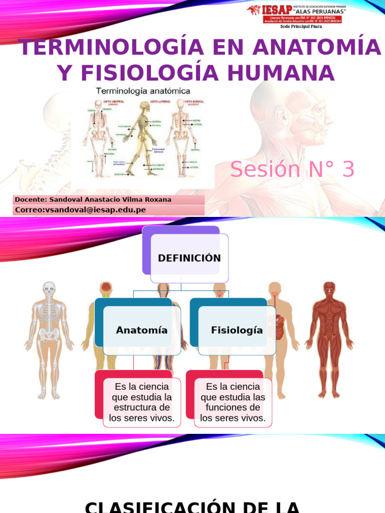 Terminologia en Anatomia y Fisiologia | PDF | Términos anatómicos de ...