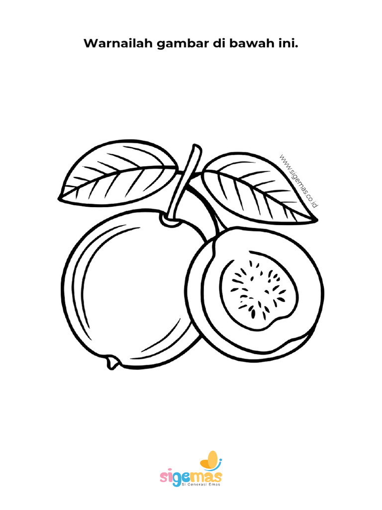 Mewarnai Jambu Biji | PDF