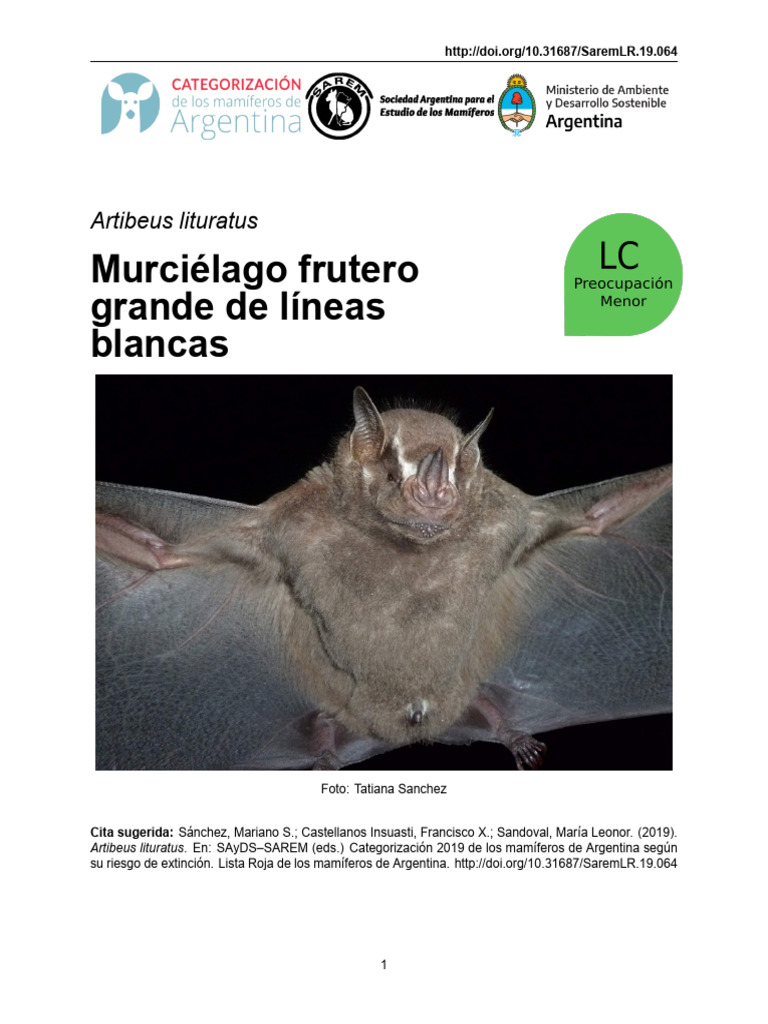 Artibeus Lituratus | PDF | Habitat | Los bosques