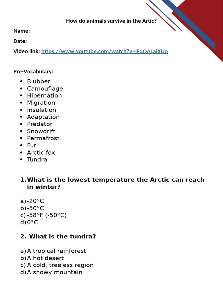 Arctic Animal Survival Strategies | PDF