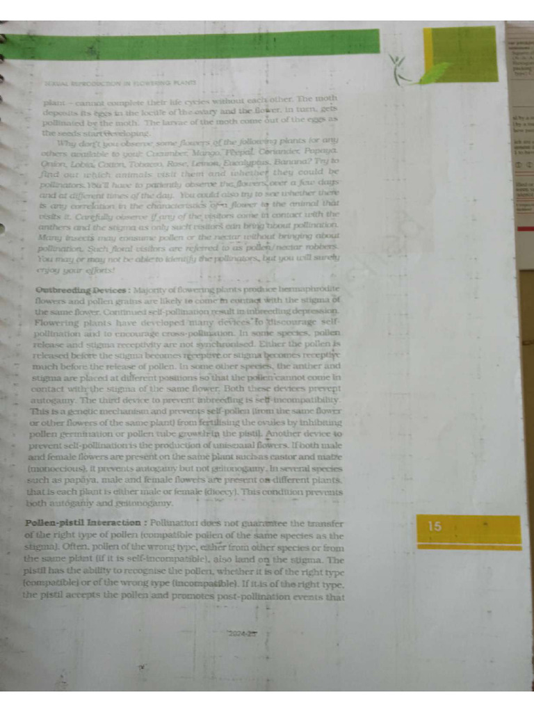 Botany 17 | PDF