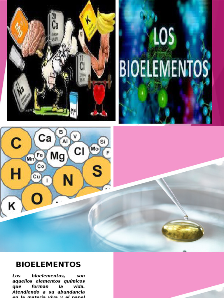 Clasificación de Bioelementos Esenciales | PDF | Enlace químico ...