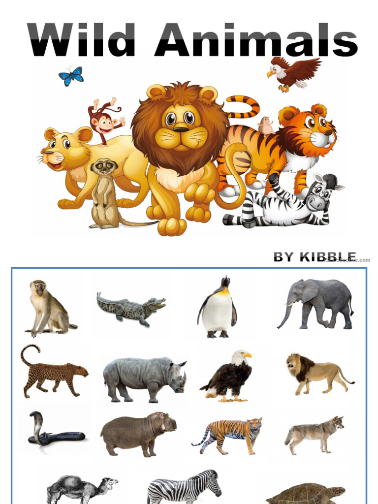 Animal Habitats and Classifications | PDF