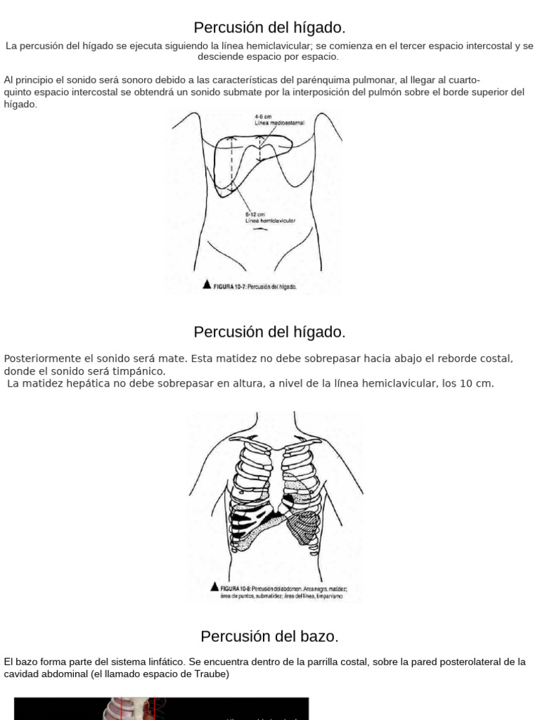 Técnicas de Percusión Abdominal: Hígado y Bazo | PDF | Tórax | Hígado