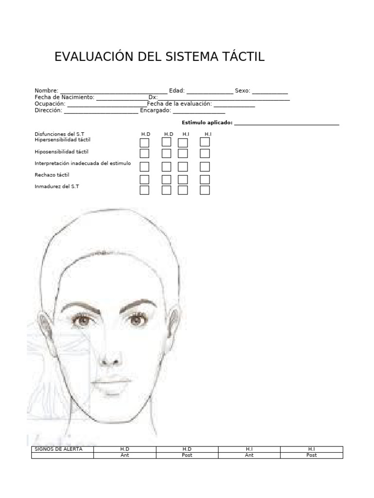 Evaluaciones Tactil | PDF