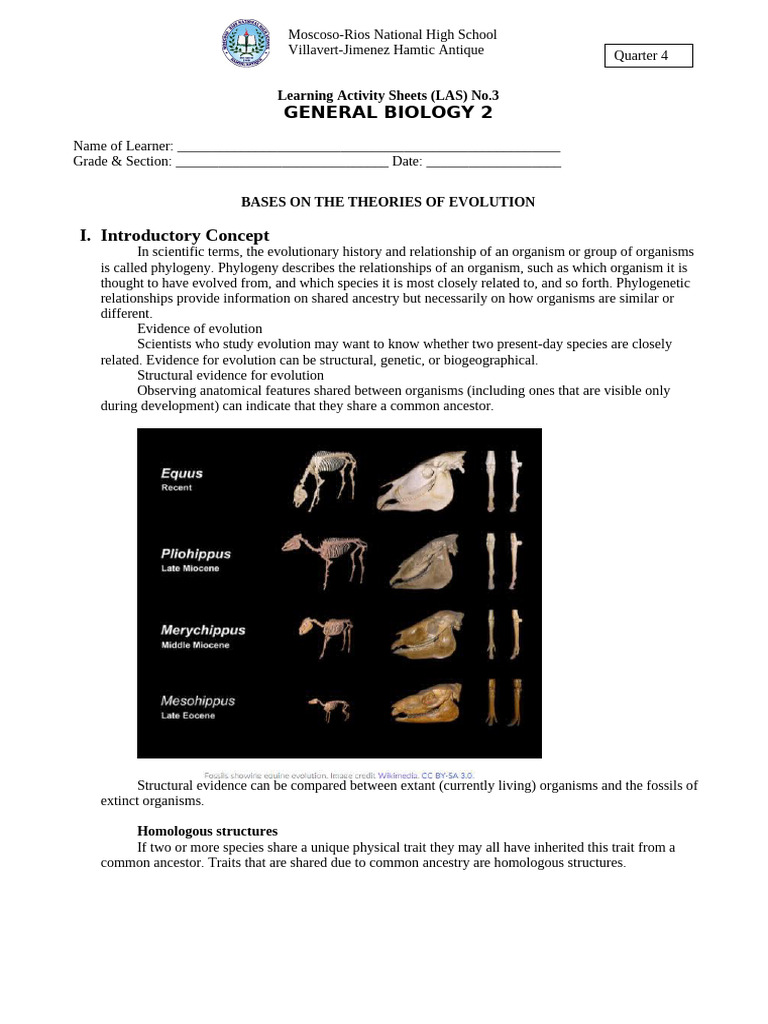 Las3 General Biology Bases On The Theories of Evolution | PDF ...