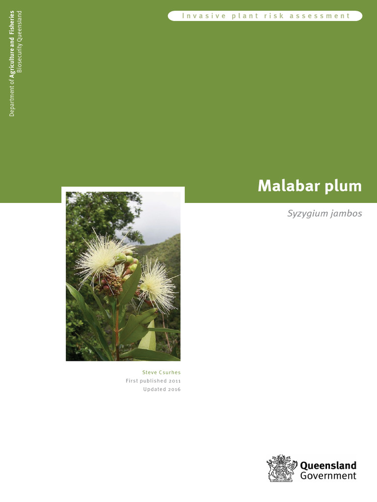 IPA Malabar Plum Risk Assessment | PDF | Botany | Plants