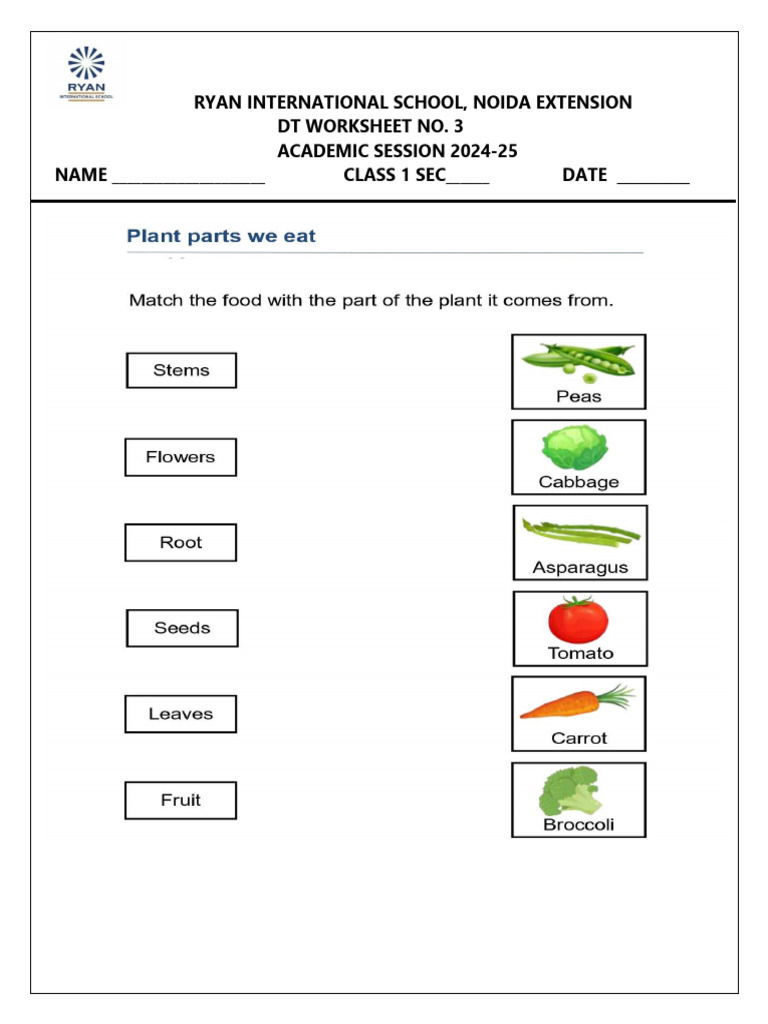 DT WORKSHEET - 3 - Ic966806 | PDF