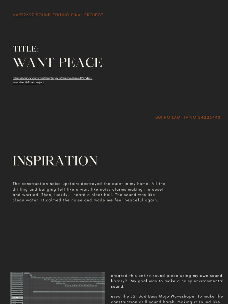Sound Editing Project: Noise to Peace | PDF