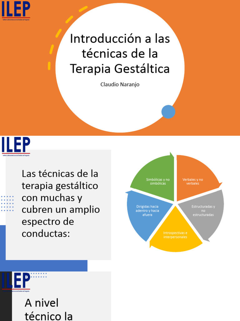 Introducci-N A Las T-Cnicas de La Terapia Gest-Ltica | PDF | Terapia Gestalt | Terapia