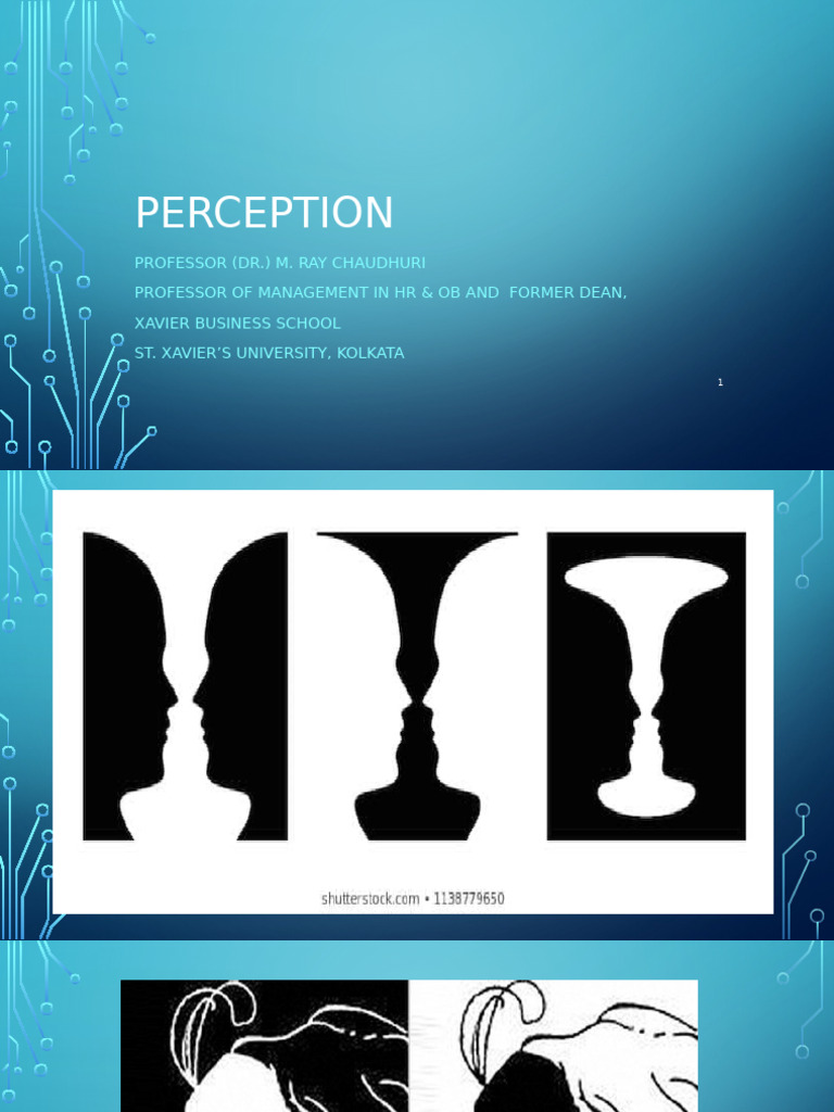 Perception | PDF