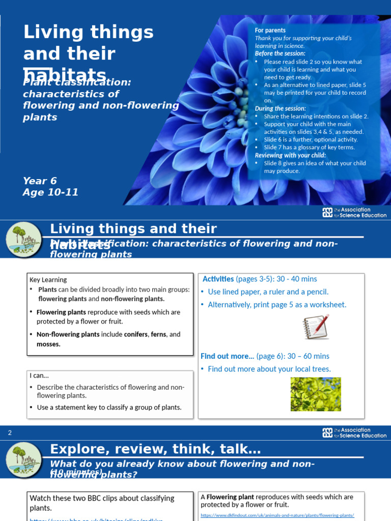 Year 6 Plant Classification Guide | PDF | Plants | Flowers