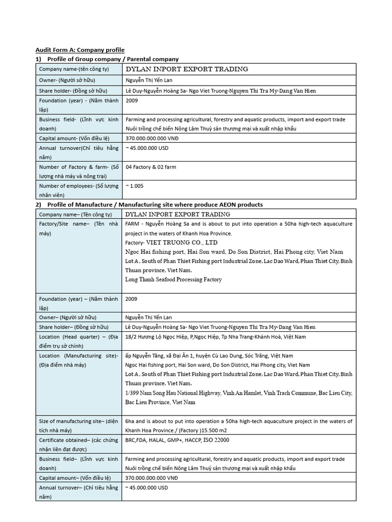 Form A Company profile-DYLAN | PDF
