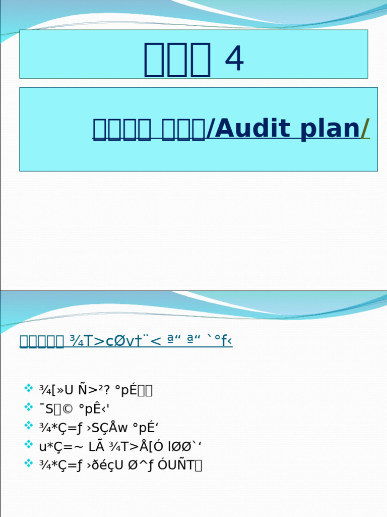 Audit Planning | PDF