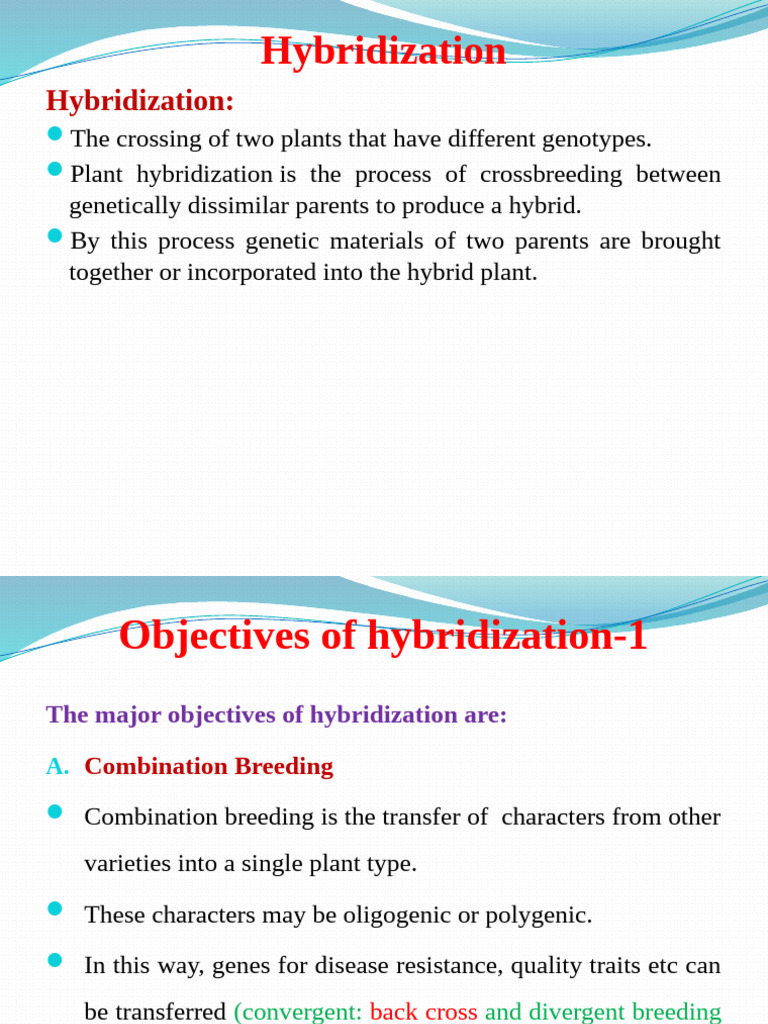 Hibrida TTS melalui Pembuahan Genetik | PDF | Flowers | Hybrid (Biology)