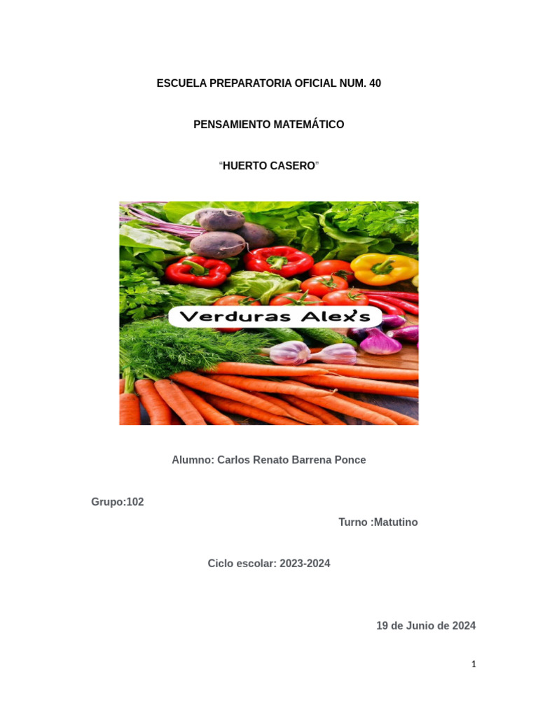 Proyecto Mate Rabanos | PDF | Alimentos | Contaminación