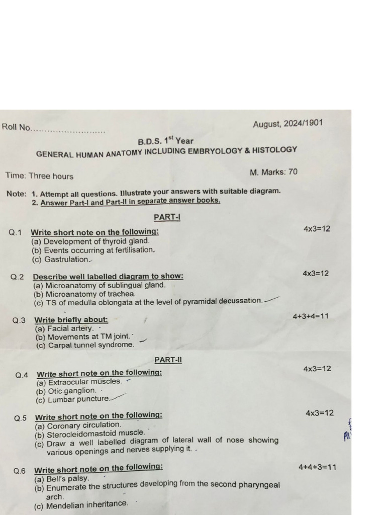 1st Year Anatomy - Compressed | PDF