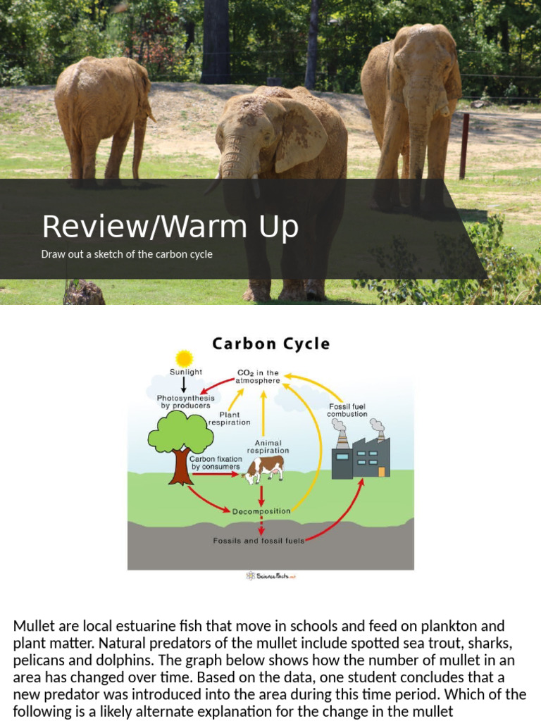 5B - Ecosystems - Food Web - Climate Change and Energy Resources | PDF ...