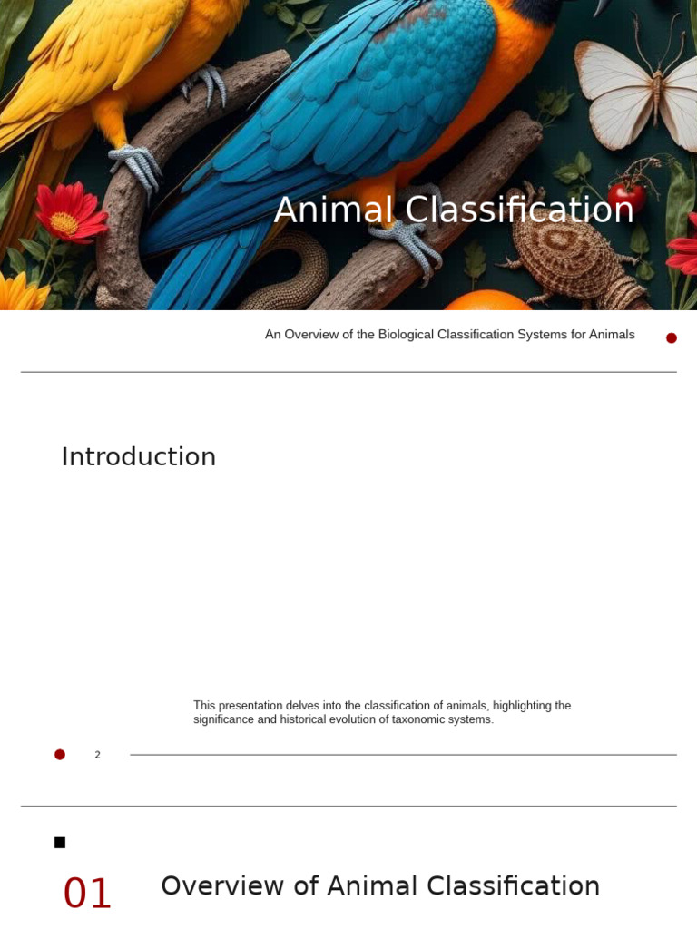 Animal Classification | PDF | Taxonomy (Biology) | Biology