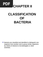 Understanding Skin Normal Flora | PDF | Staphylococcus | Streptococcus