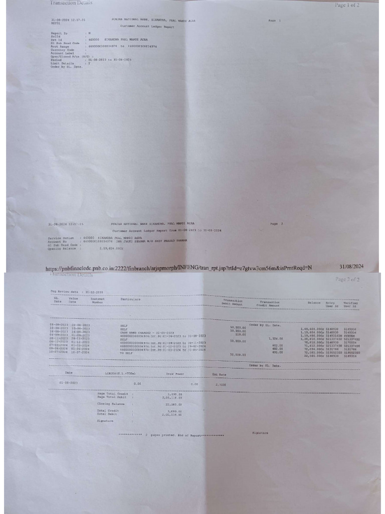 Jyoti Sharma PNB Statement | PDF