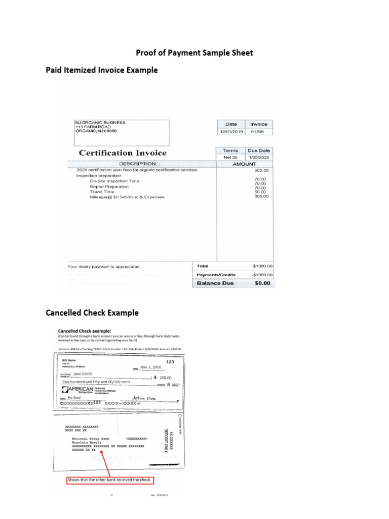 1a Proof of Payment Sample Sheet | PDF