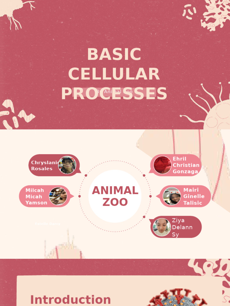 Group 1 Basic Cellular Process | PDF | Cell Membrane | Cell Signaling