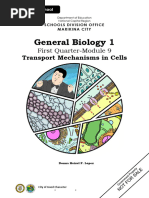 Amoeba Sisters Video Recap | PDF | Cell Membrane | Cell (Biology)